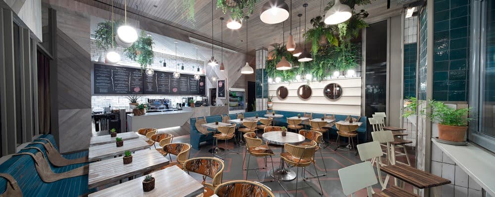 Kafe Restaurant internet sorunları | IQPRO